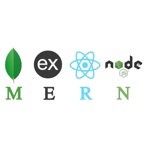 Hire MERN Stack Developer | MERN Stack Development Services USA